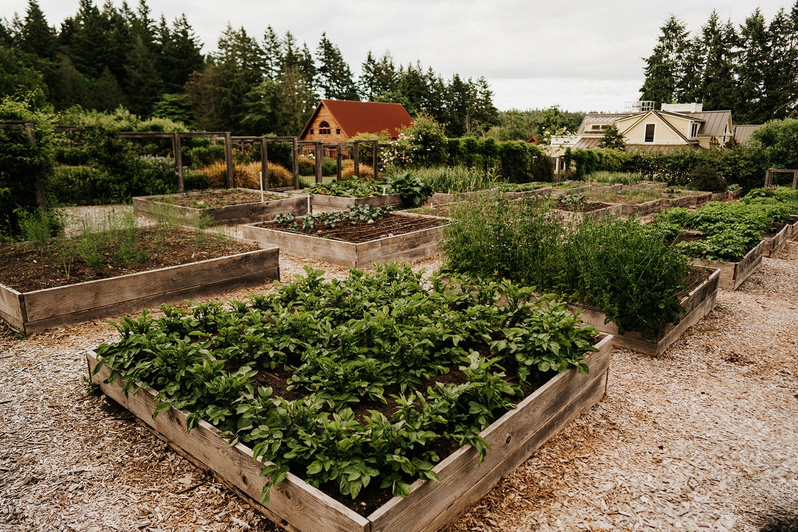 Heyday Farm Fall Harvest Dinner | Heyday Farm